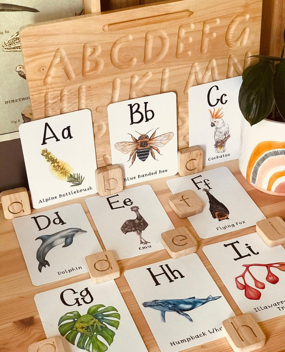 Australian Alphabet Flash Cards – Little Gumnuts