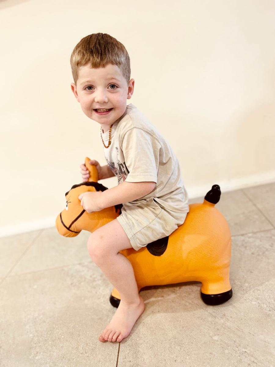 BOUNCY RIDER GINGER THE HORSE – Little Gumnuts