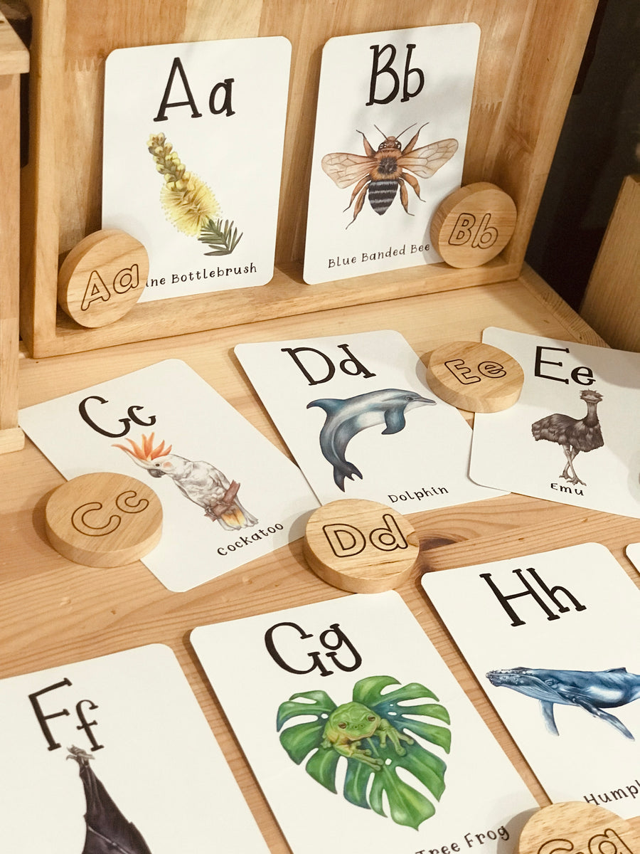 Australian Alphabet Flash Cards – Little Gumnuts